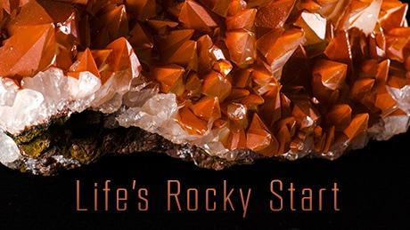 Rock Dust Local - Revive The Planet!